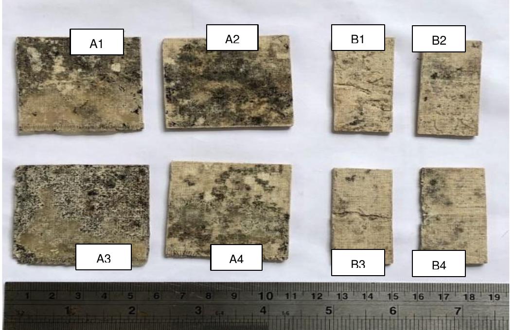 Final (120 days-long) discoloration and weathering of the