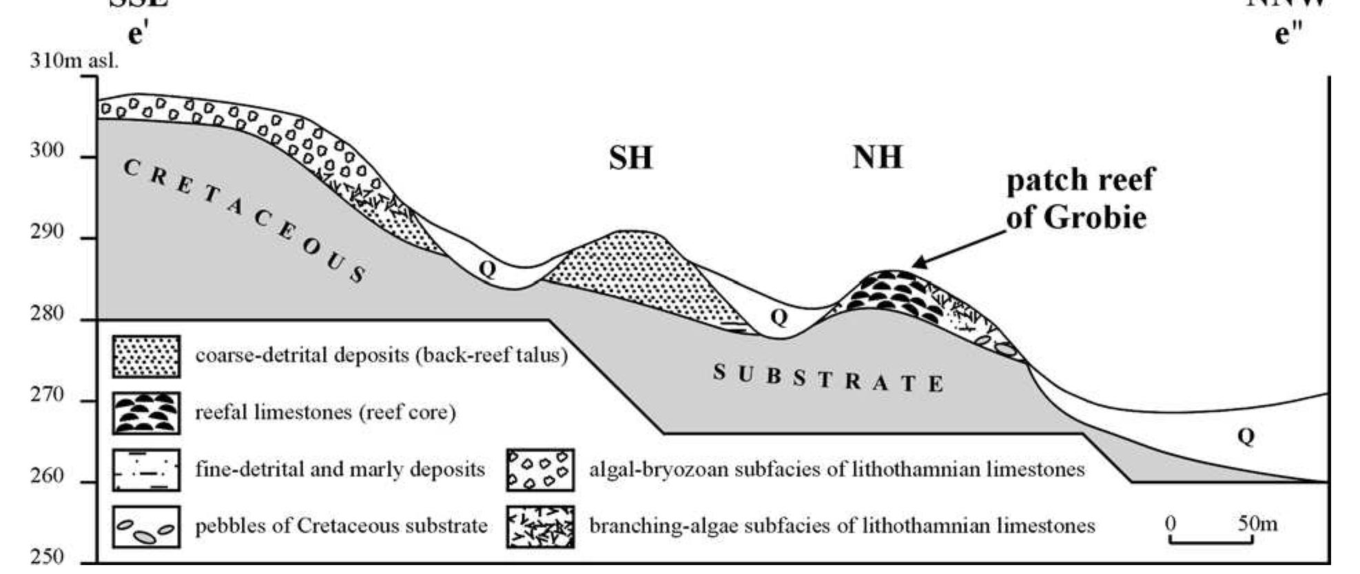 Cross-section through lower badenian deposits of grobie