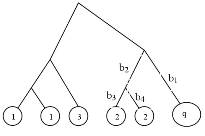 A weighted tree of proteins overlayed with class labels.