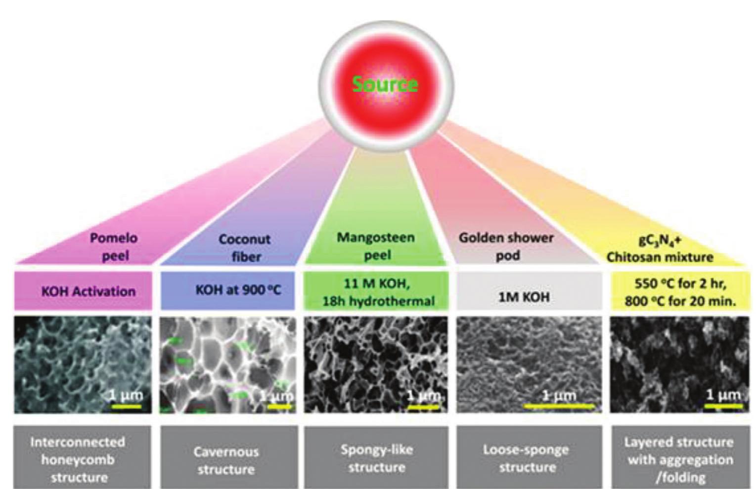 Different types of morphologies for porous carbons obtained