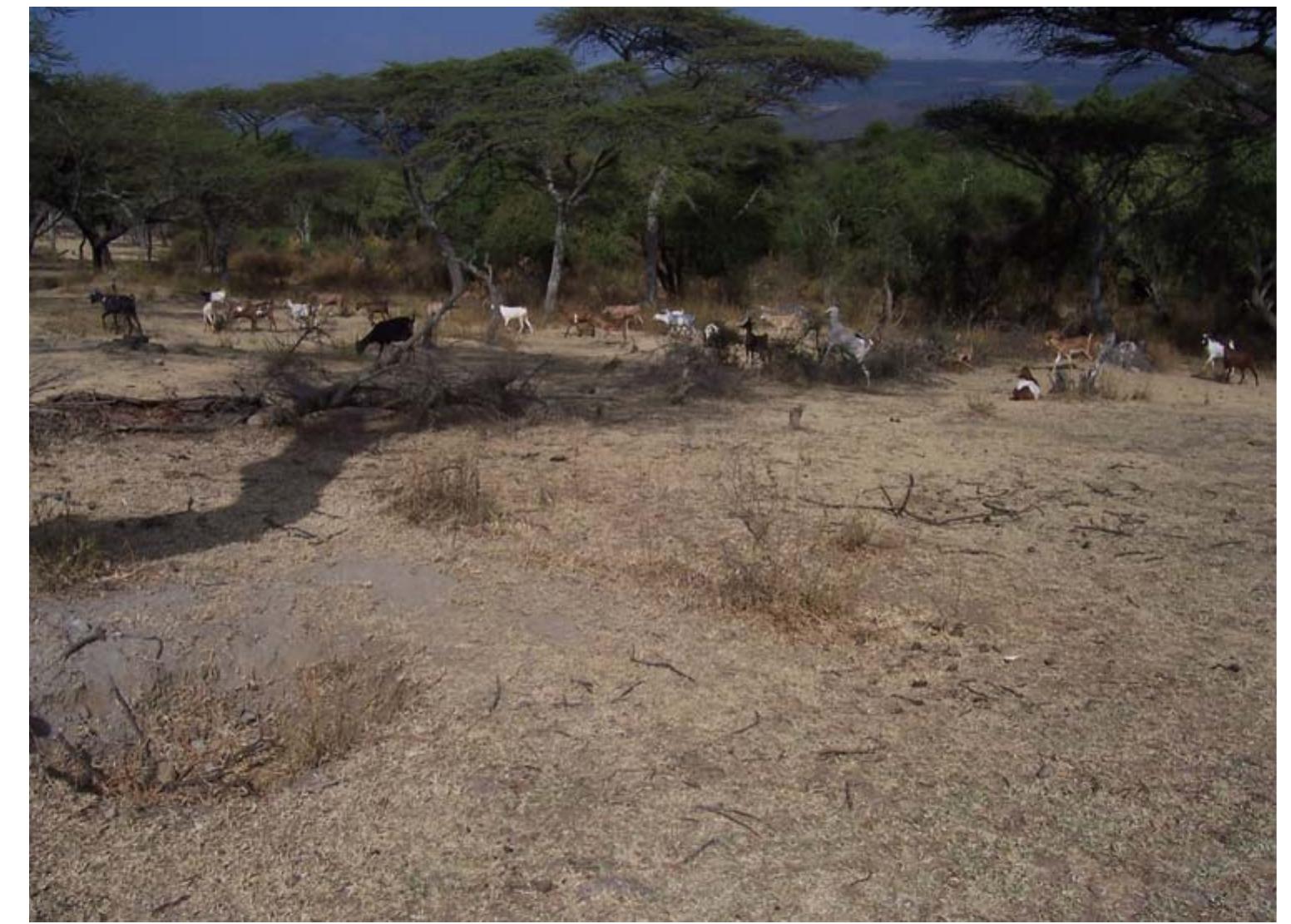 Figure 16 - Assessment of Ecotourism Potentials for