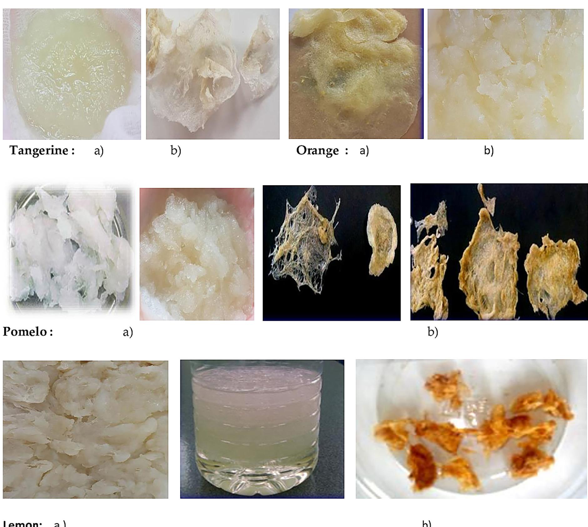 (PDF) Development of Technology for the Extraction of Natural Pectin ...
