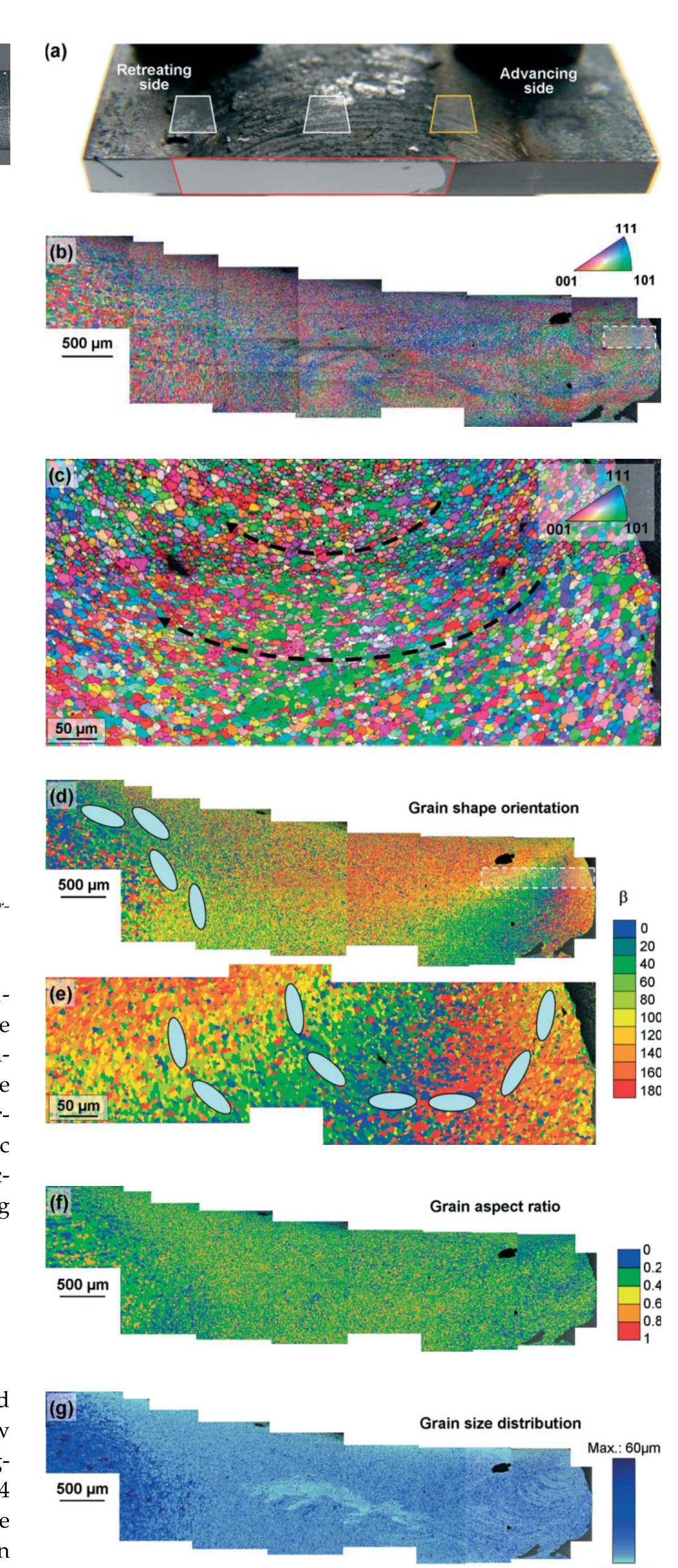 Montage showing the cross sectional view of the different