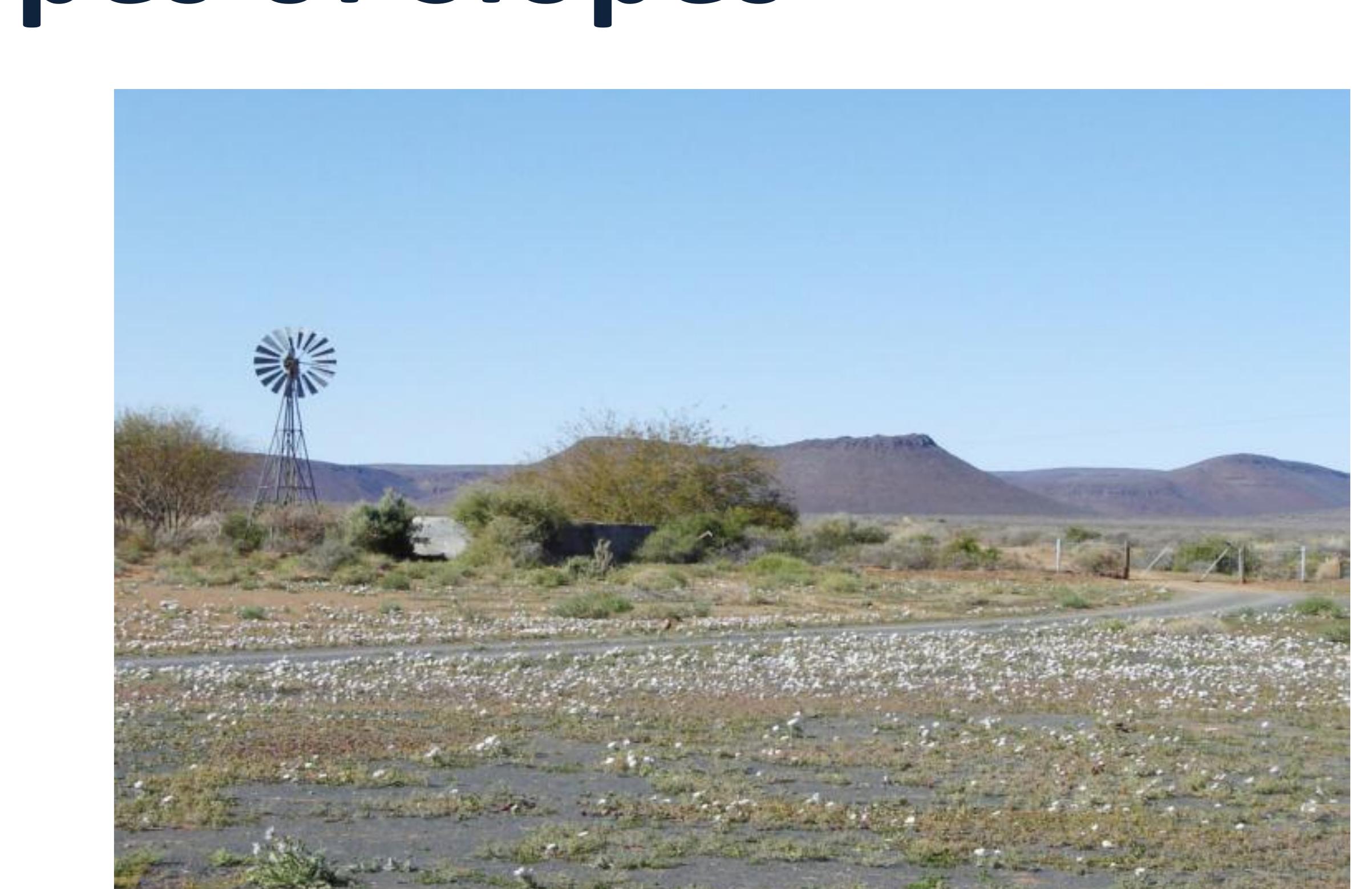 (PDF) Types of Slopes