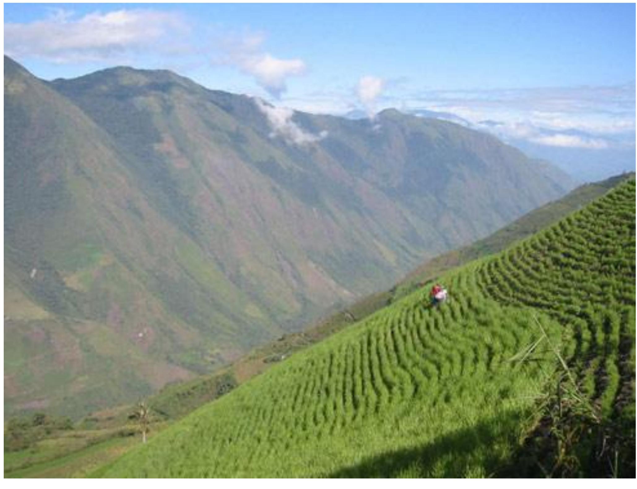 (PDF) Types of Slopes