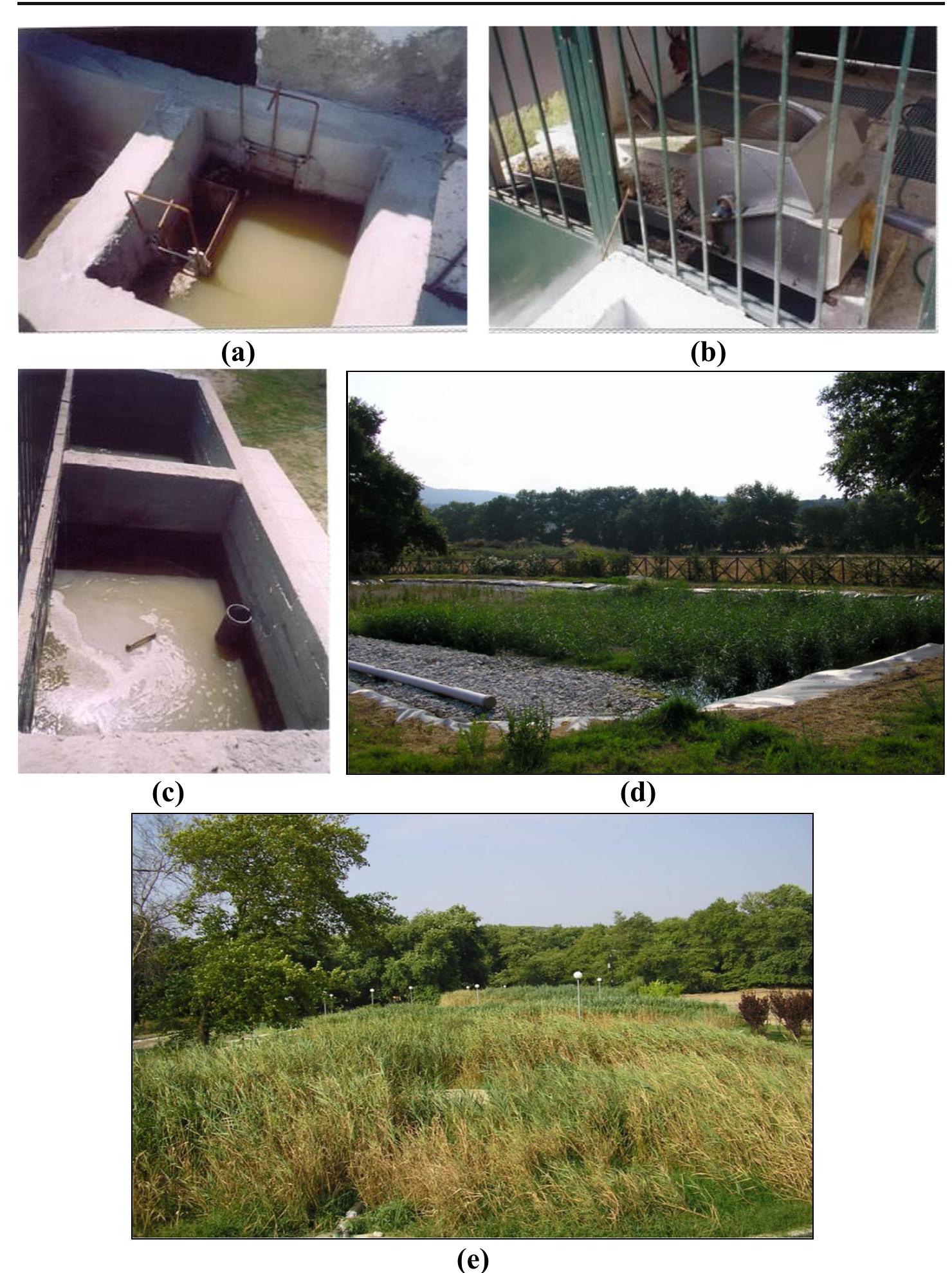 Vertical flow cw in gomati, chalkidiki, north greece