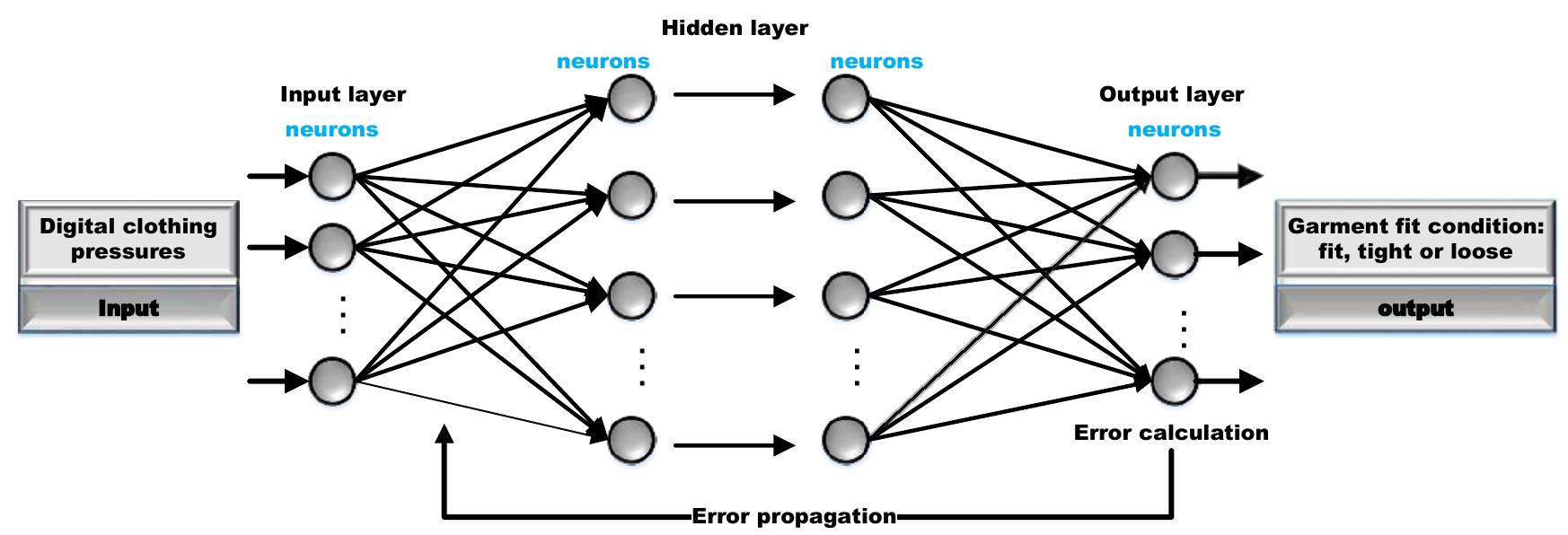 Structure of back propagation artificial neural networks