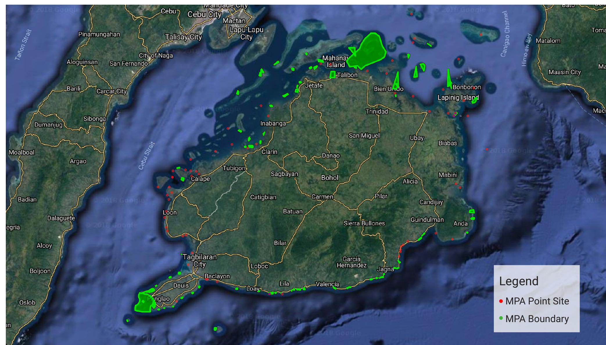 (PDF) State of the Mangrove in Bohol