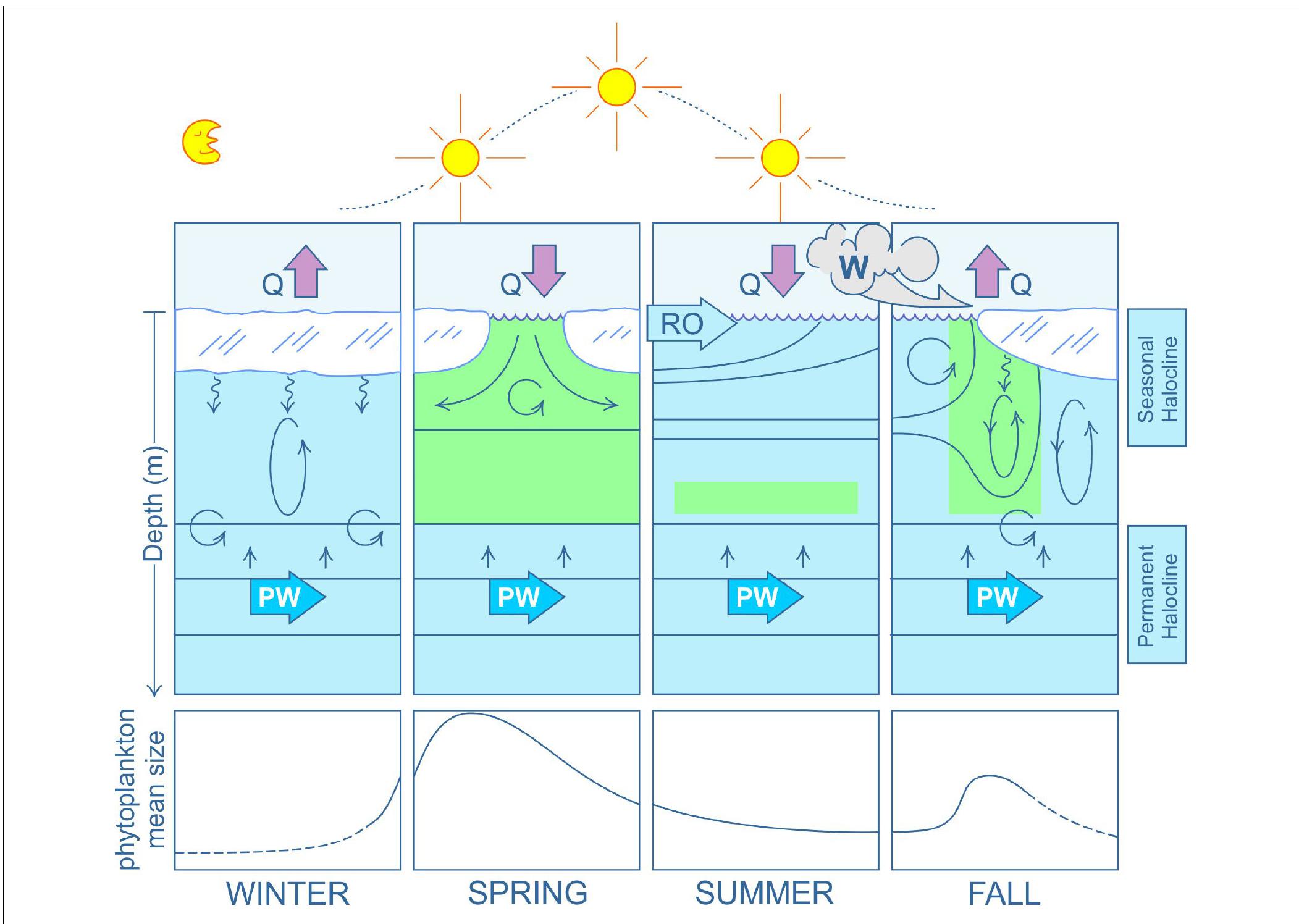 | seasonal evolution of the arctic ocean “lids.” cartoon