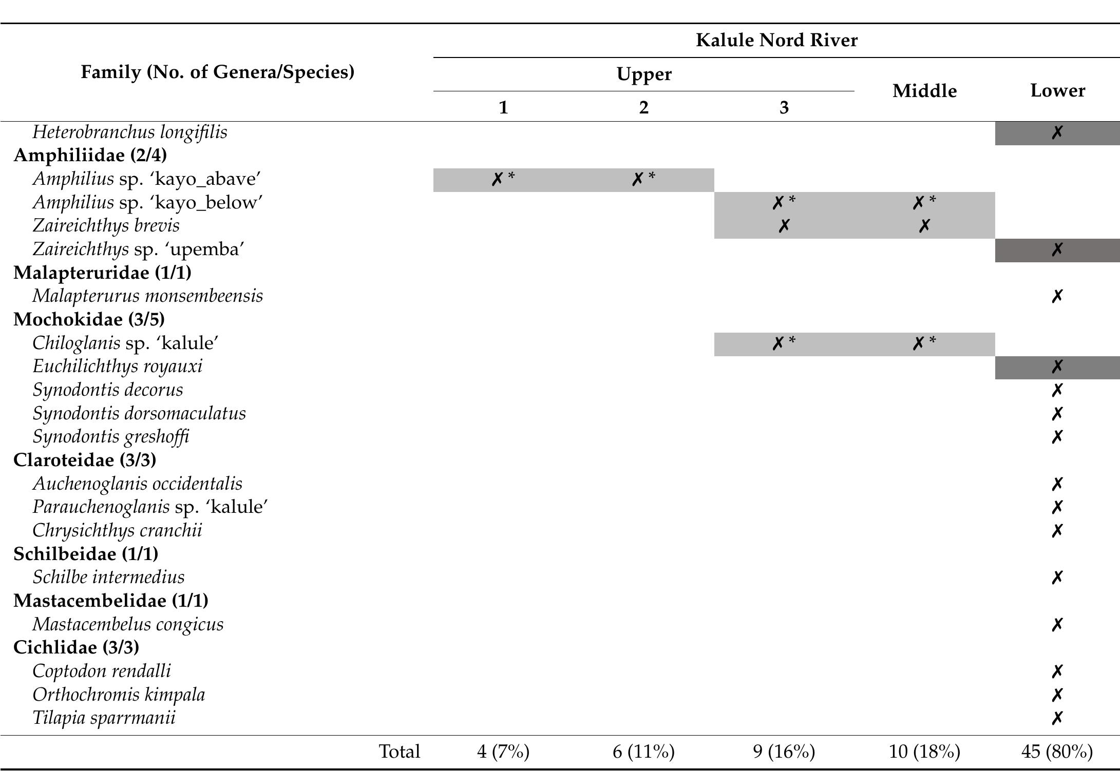 Al. cont. * endemic species of the kalule nord.