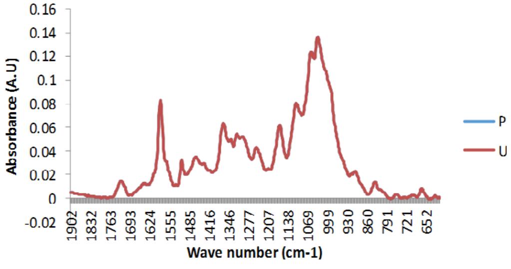 —averaged atr-ftir spectra of pen p ink (blue line) and the