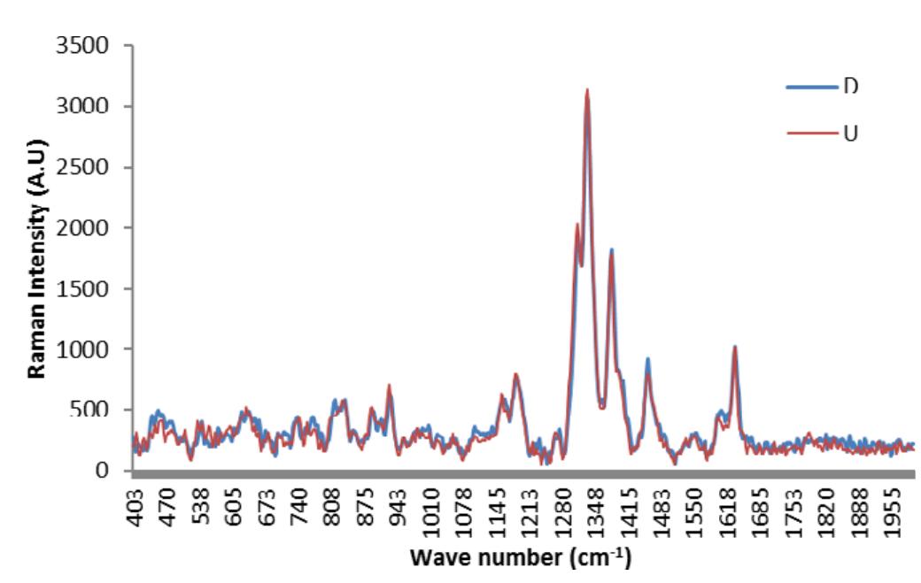 —averaged raman spectra of pen d ink (blue line) and_ the