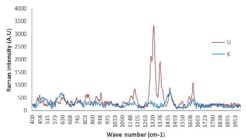 —averaged raman spectra of pen k ink (blue line) and the