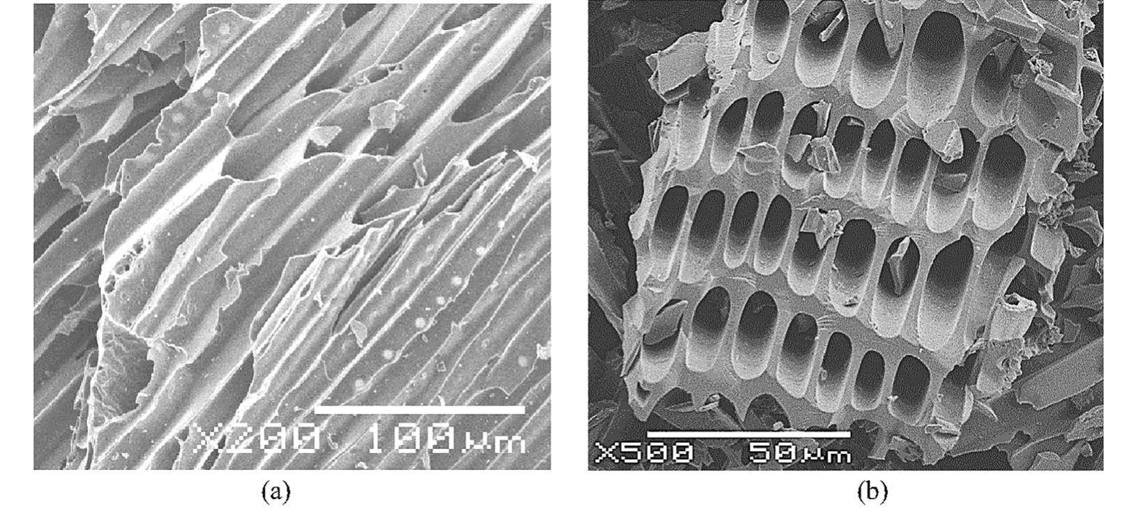 Sem images of raw biochar. a) longitudinal view, b)
