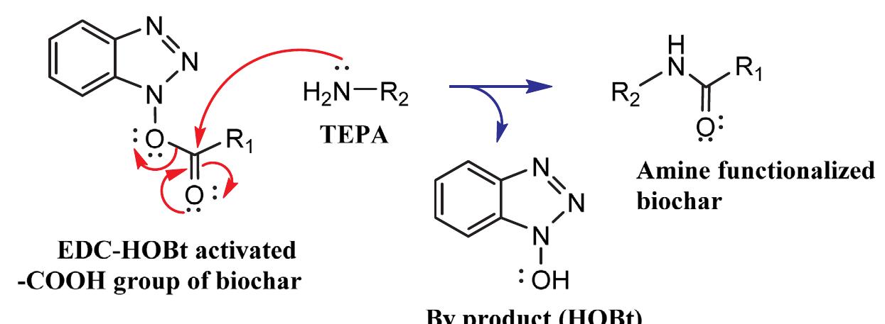 Step 2. mechanism of tepa functionalization of activated