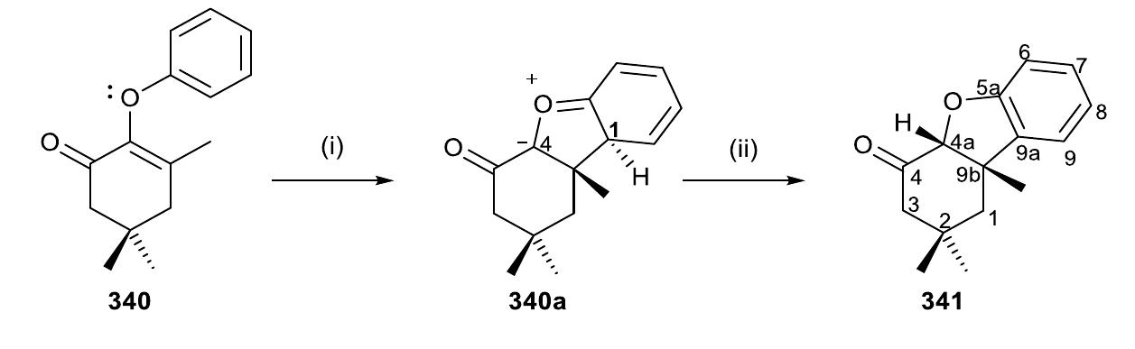 Cheme 136: schultz mechanism for 67 electrocyclization of