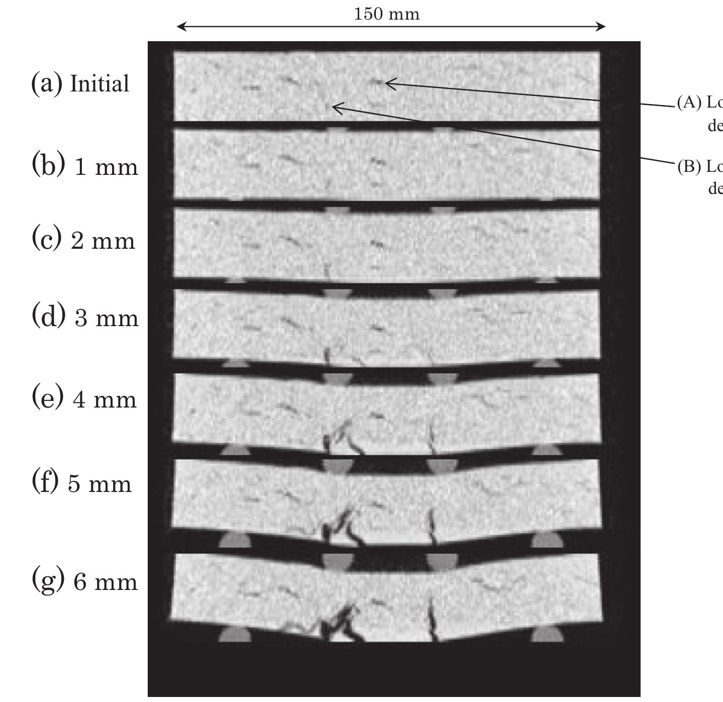 X-ray ct images of cross section of axisymmetrical compacted
