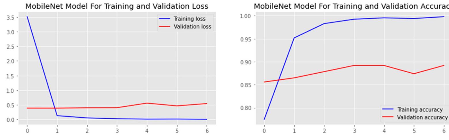 Accuracy and loss graph of the mobilenet model.