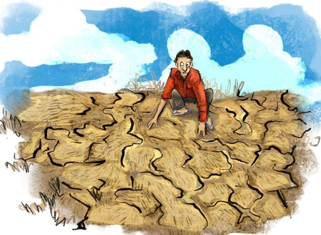 Figure 16 - Conservation social science Issue-17.