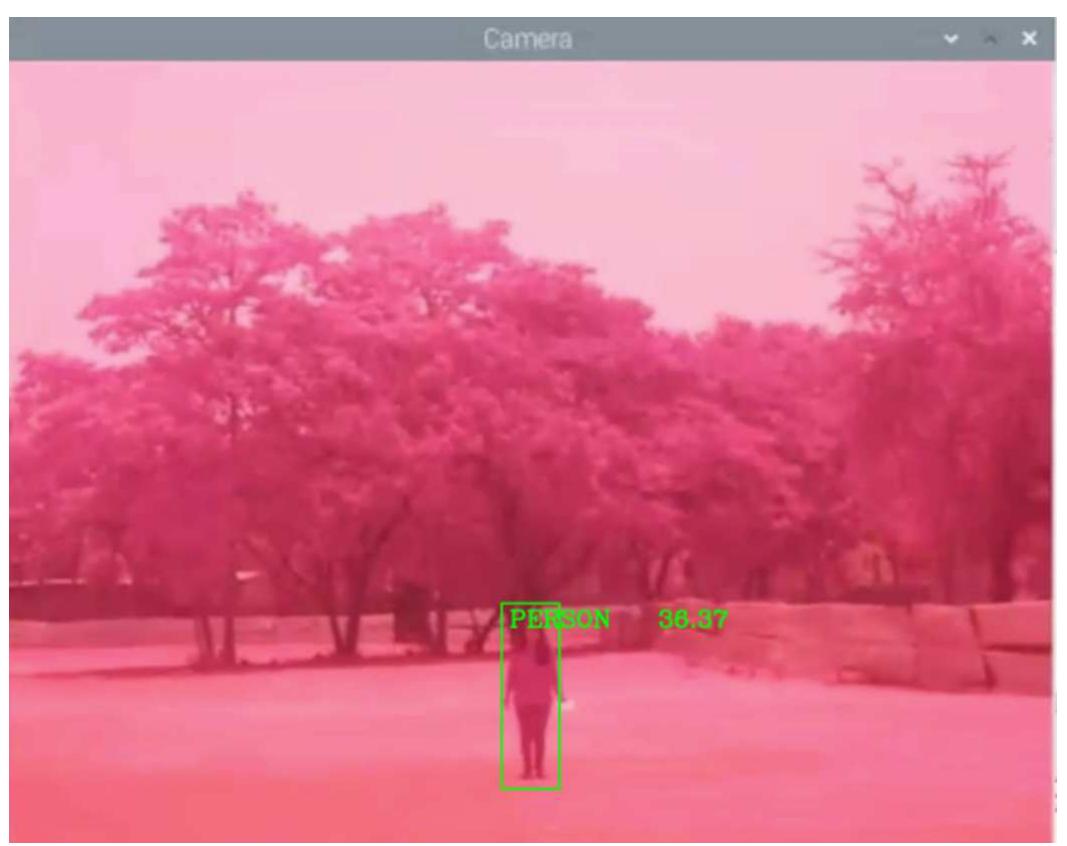 Target object detection at 20m