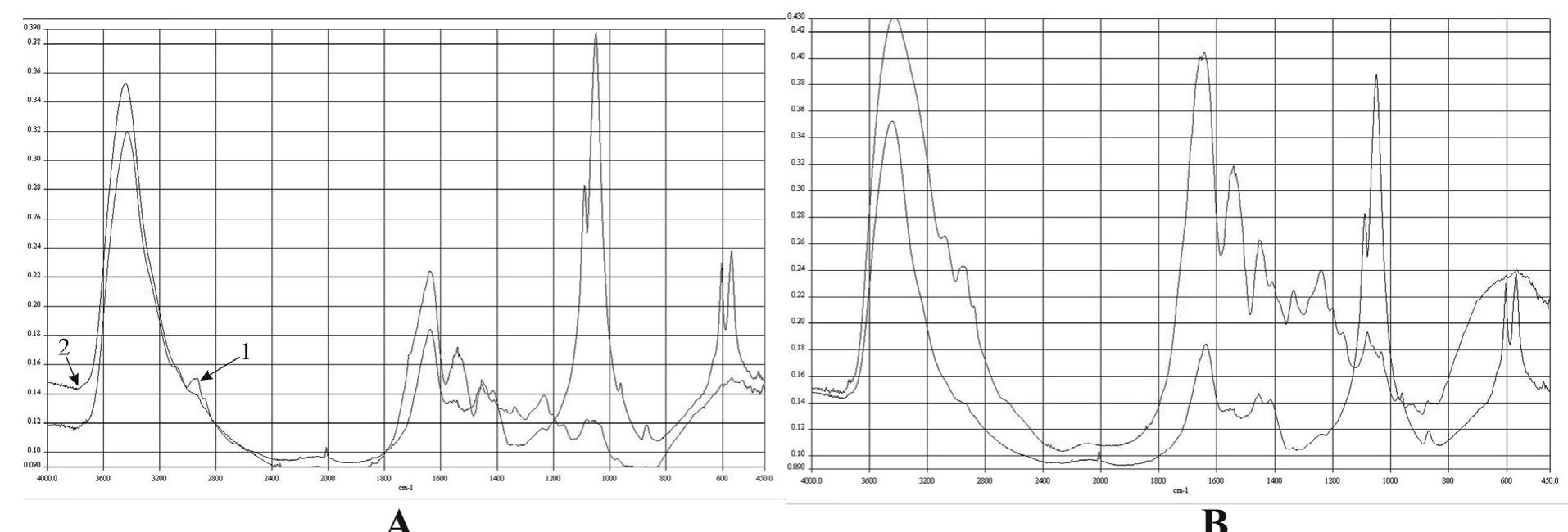 The ftir spectra of the uba-30011 sample. a: collagen (no.