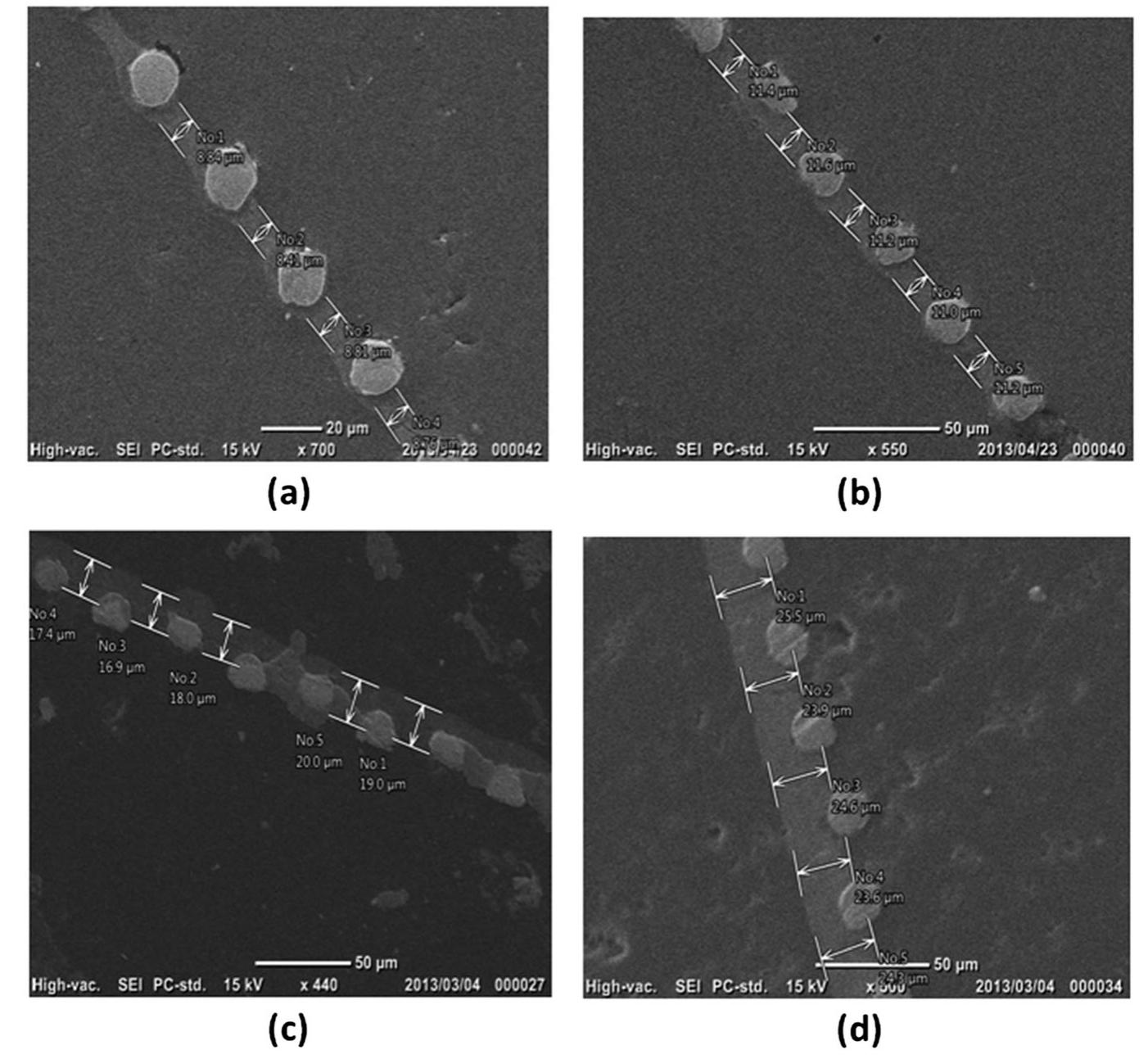 Scanning electron microscopic cross-sectional view of