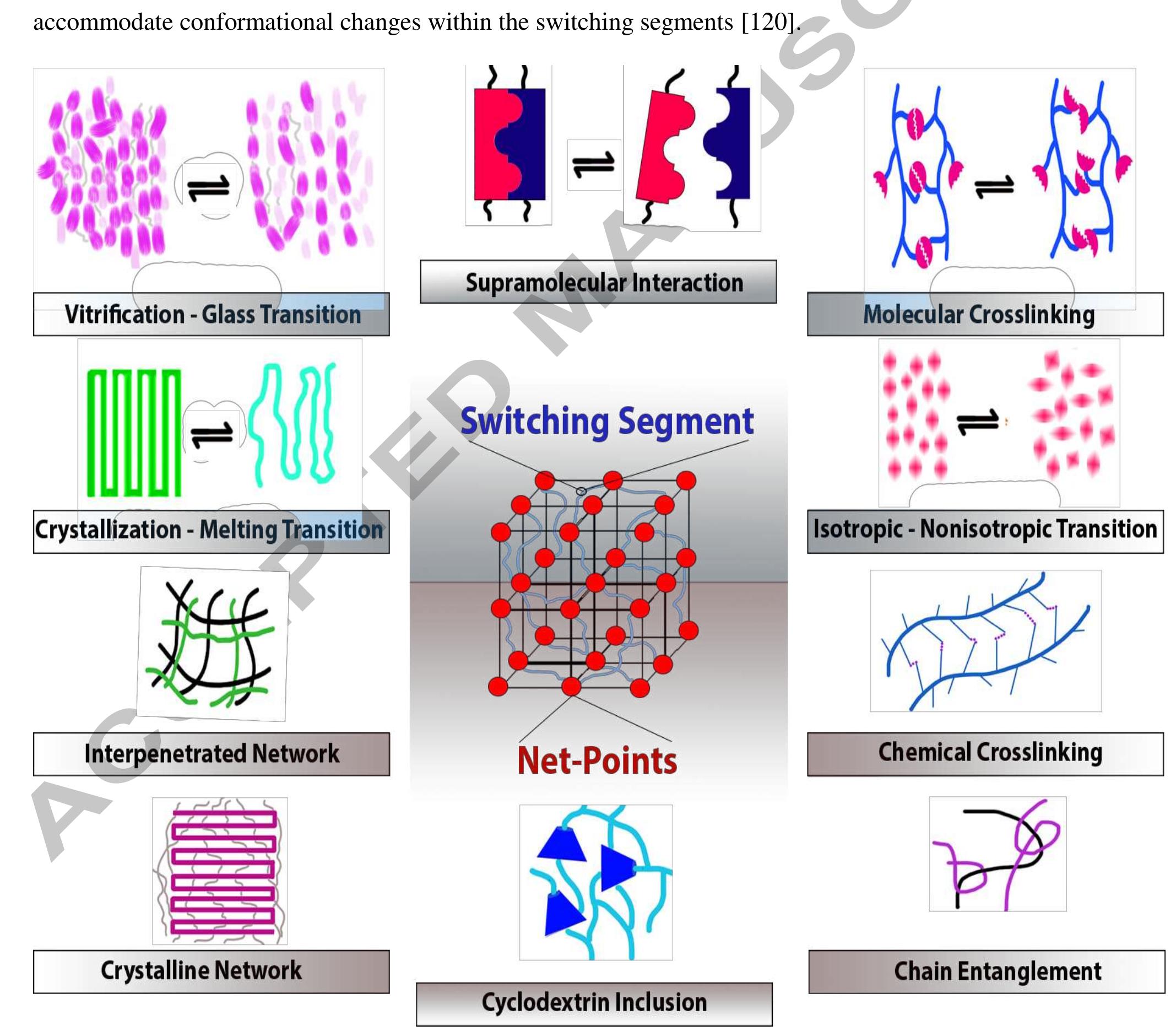 Schematic illustration of various types of net-points and