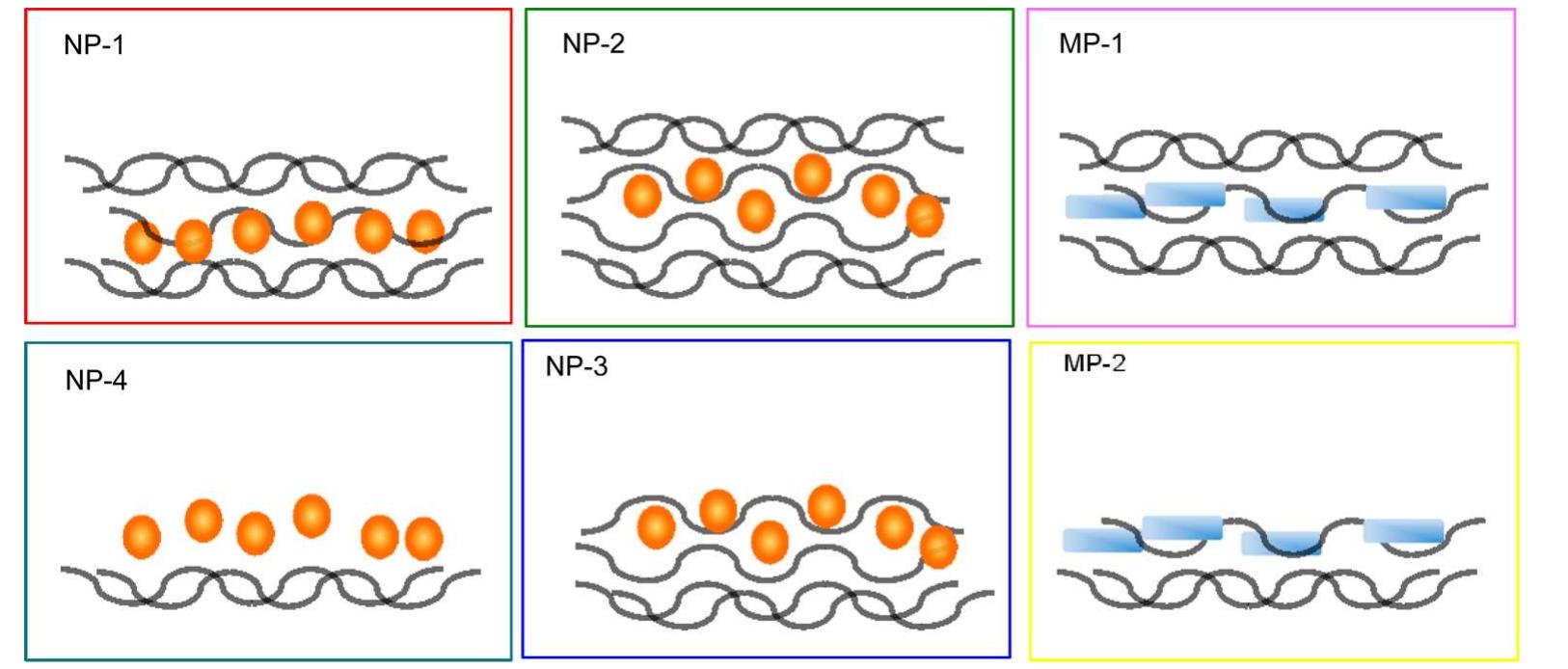 Schematic of the layered structure of the cnt enhanced