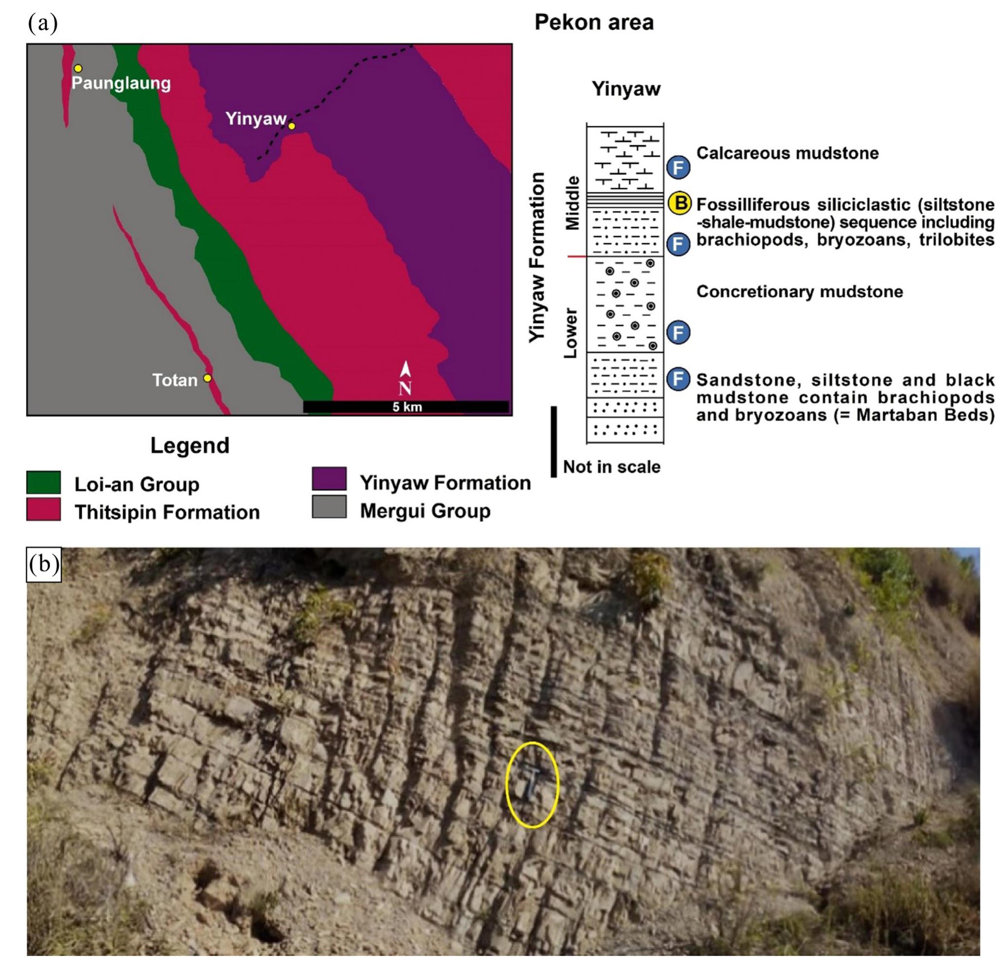 ‘ig. 10. (a) geological map of the yinyaw area with the