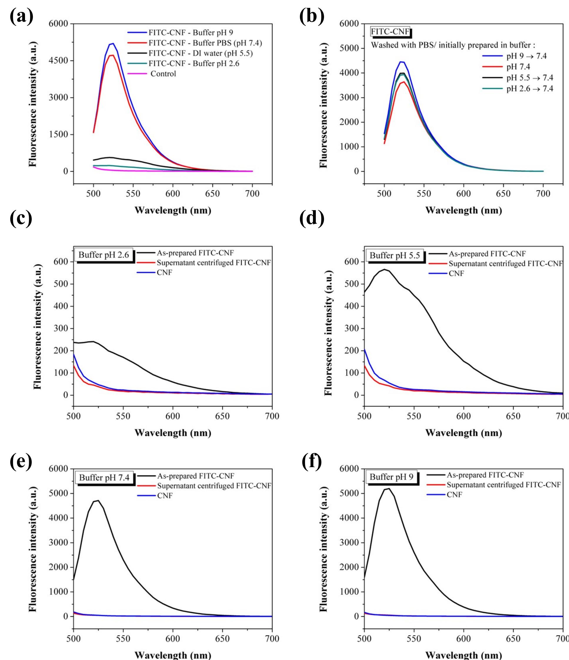 S5. (a) overlaid fluorescence spectra of 0.5 mg/ml fitc-cnf