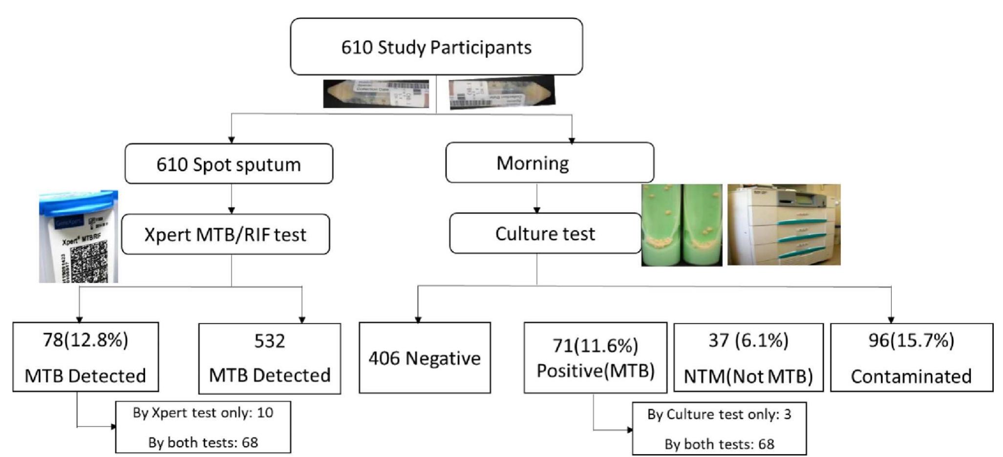 Flow chart of sputum samples and laboratory results (fig.
