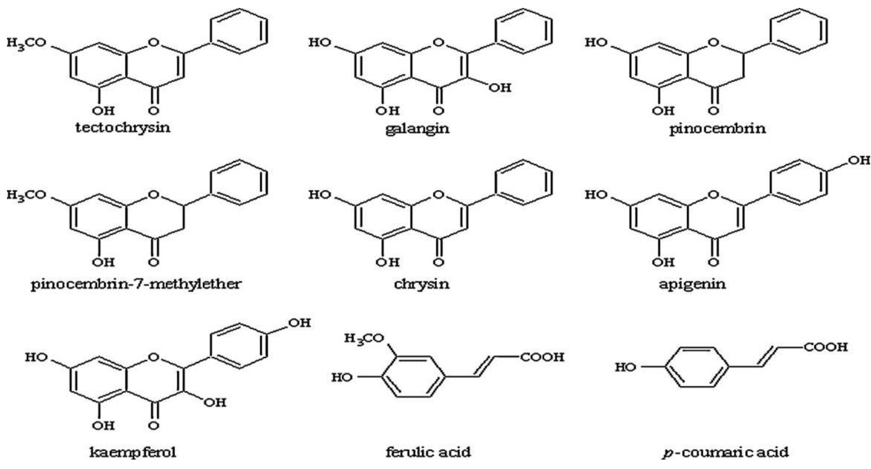 Structural formulas of flavonoids and phenolic acids present