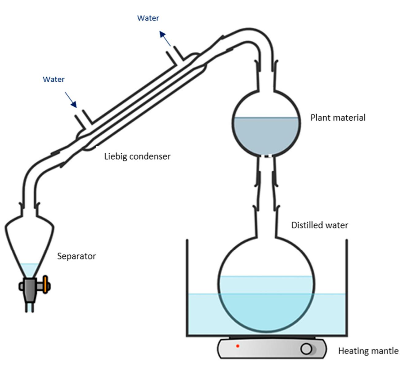 Schematic diagram of the steam distillation set-up. (figure