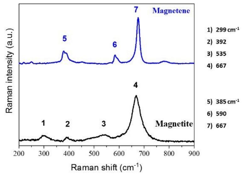 Representative raman spectra of magnetite and magnetene