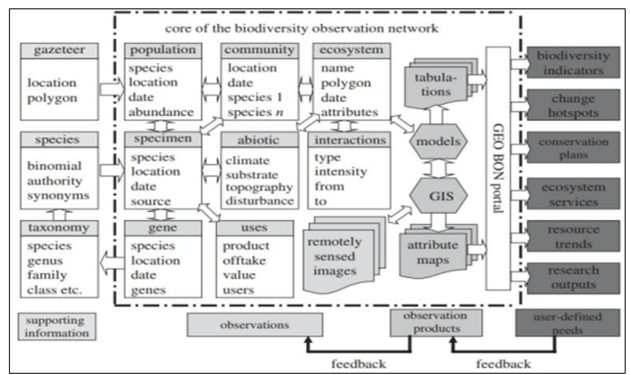 The structure of a proposed global biodiversity observation