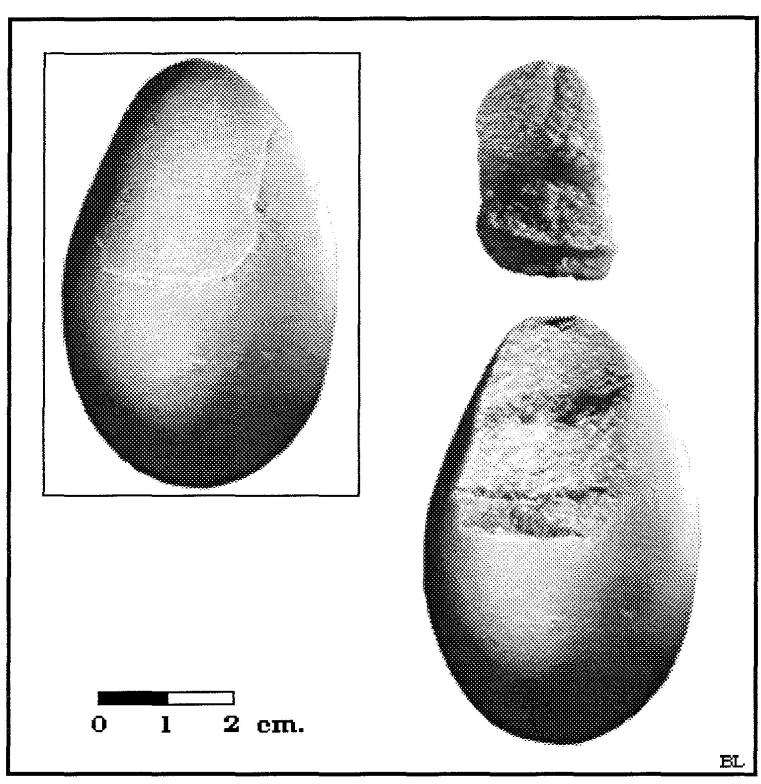 48. class 7 quartzite pebble displaying proximal chipping