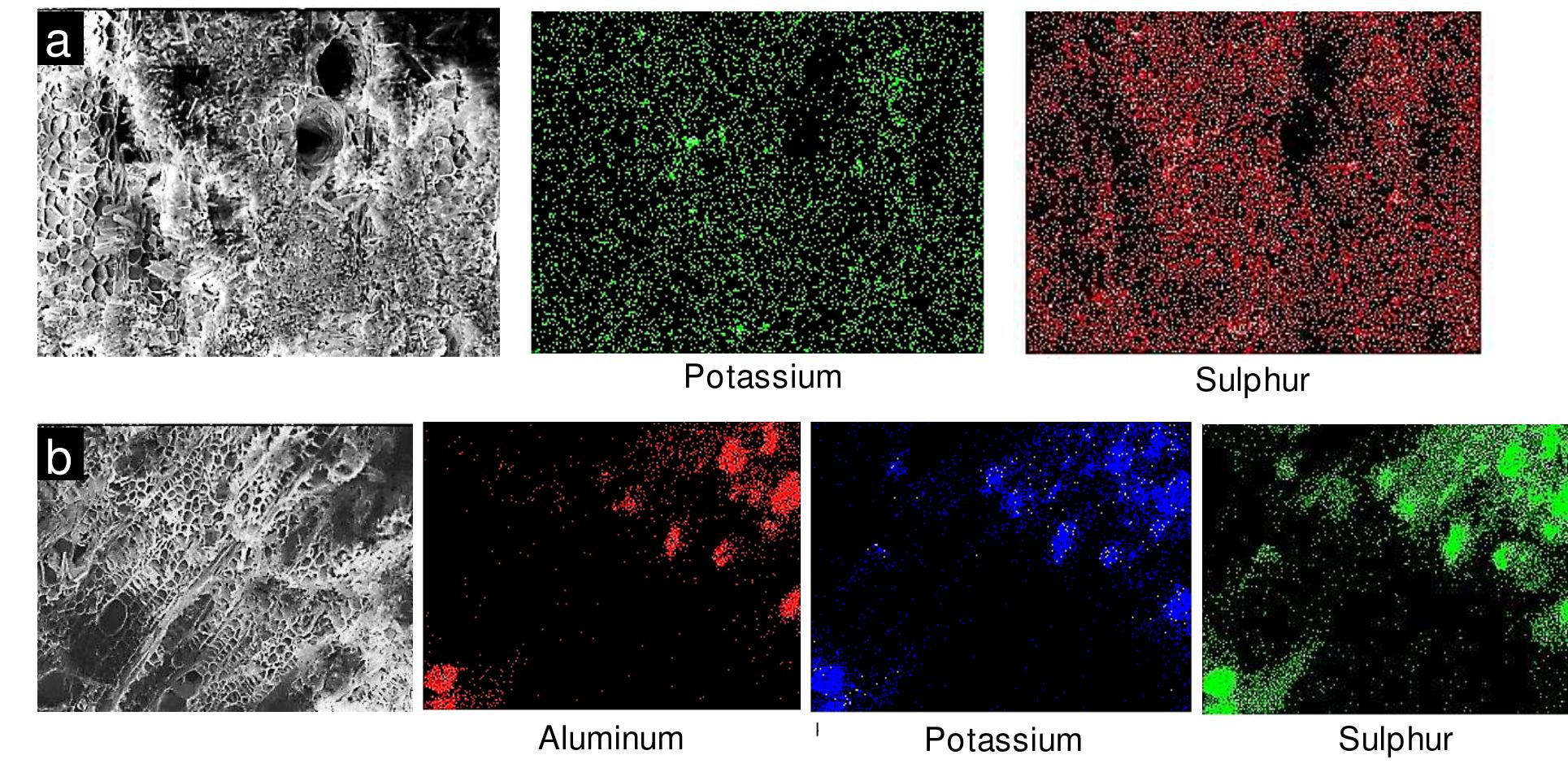 Edx elemental maps for a) sample 1d-ap and b) sample 1d-ar