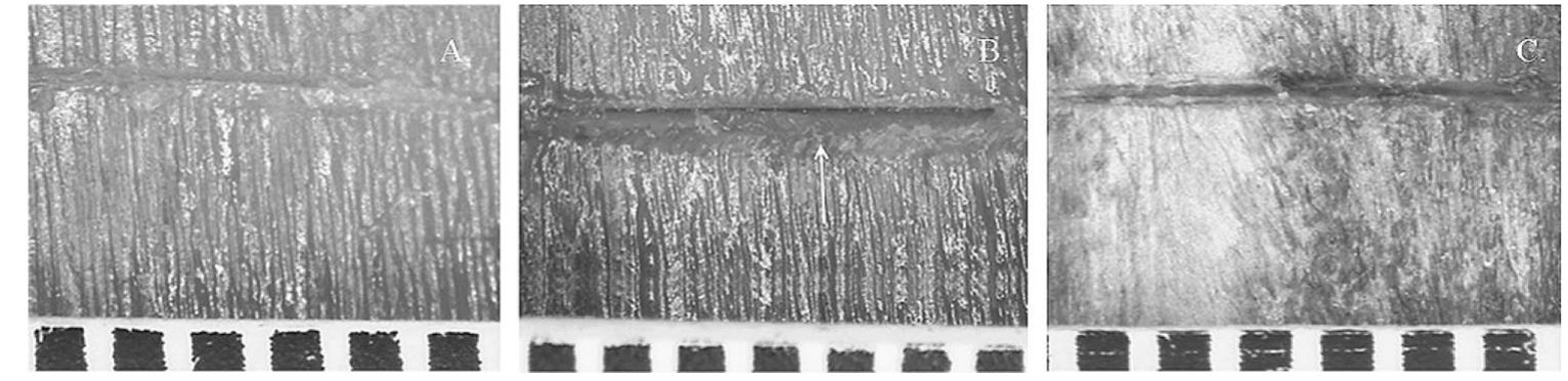 The cross-sectional views of cut marks: a narrow shape, b