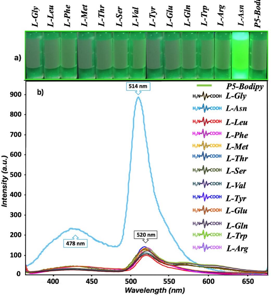 Fluorescence spectra of p5-bodipy in presence of basic amino