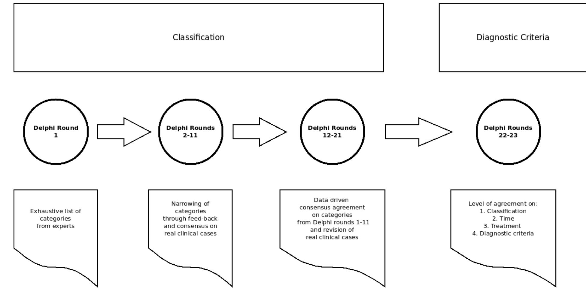 Flow chart of the design of the delphi process. two interim