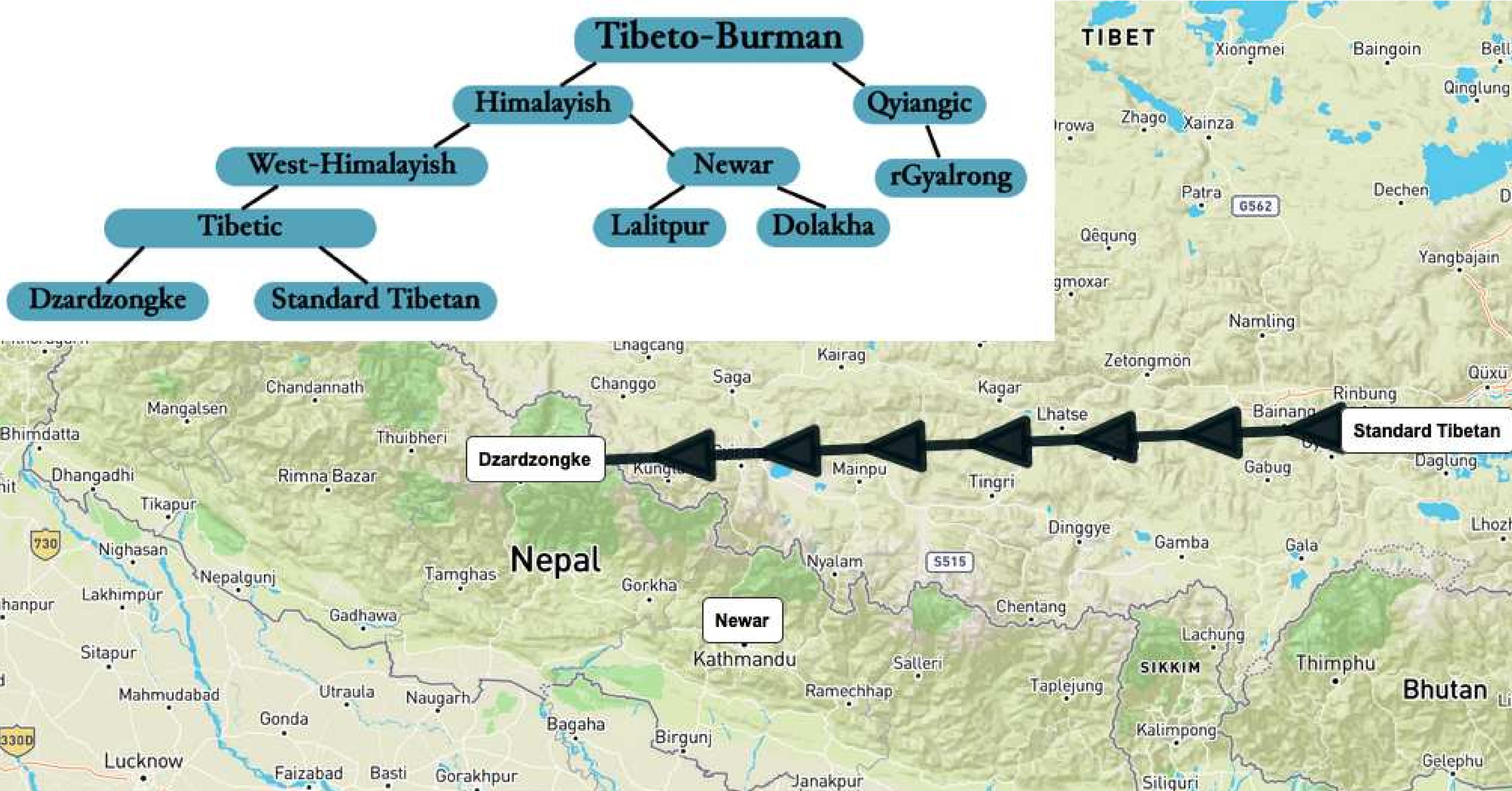 - map of nepal and tibet with a language tree of