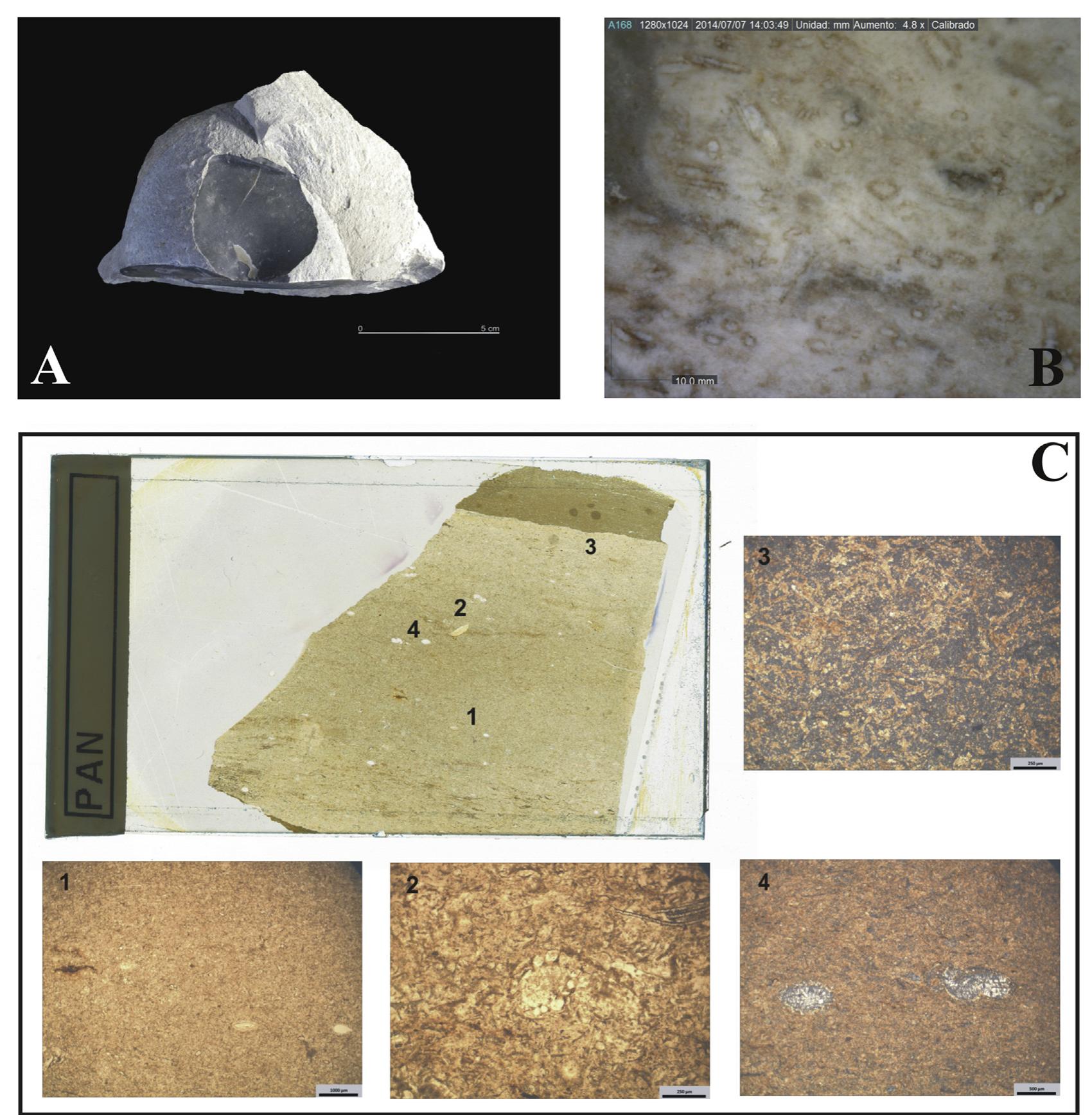 Pan chert type. a) photo of a geological chert sample. b)