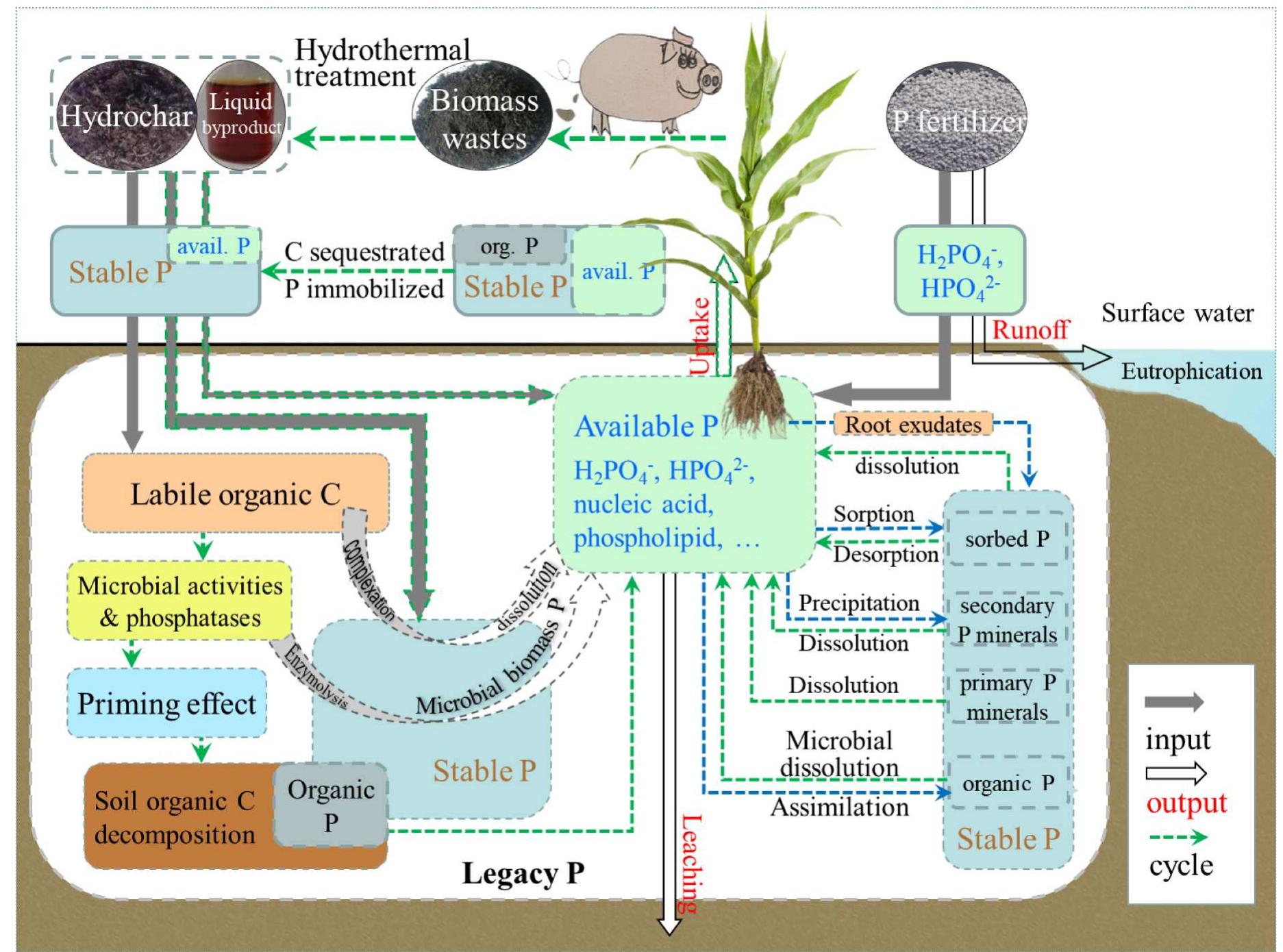Figure 1 - from Hydrochar: A promising activator for legacy