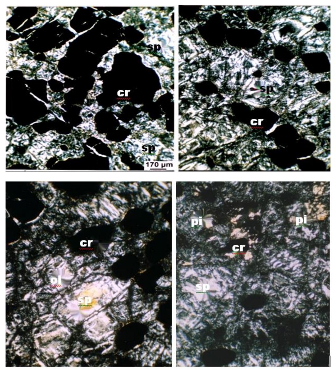 Chromite (cr) and serpentinised (sp) olivine (ol) grains