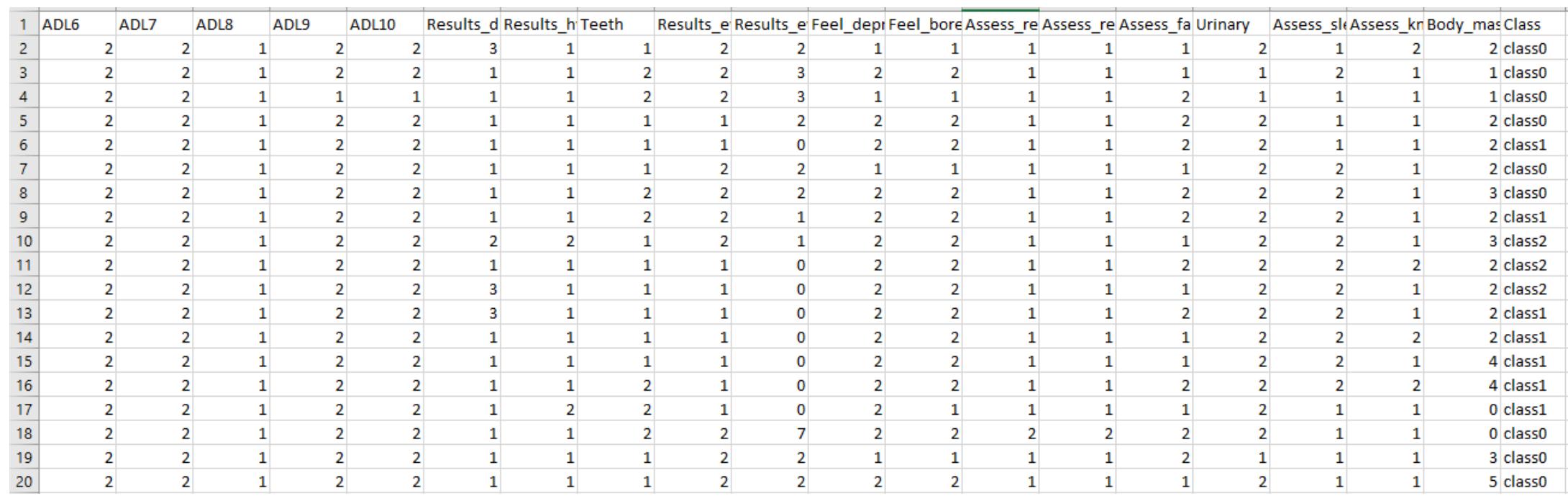 The example of the elderly health condition dataset