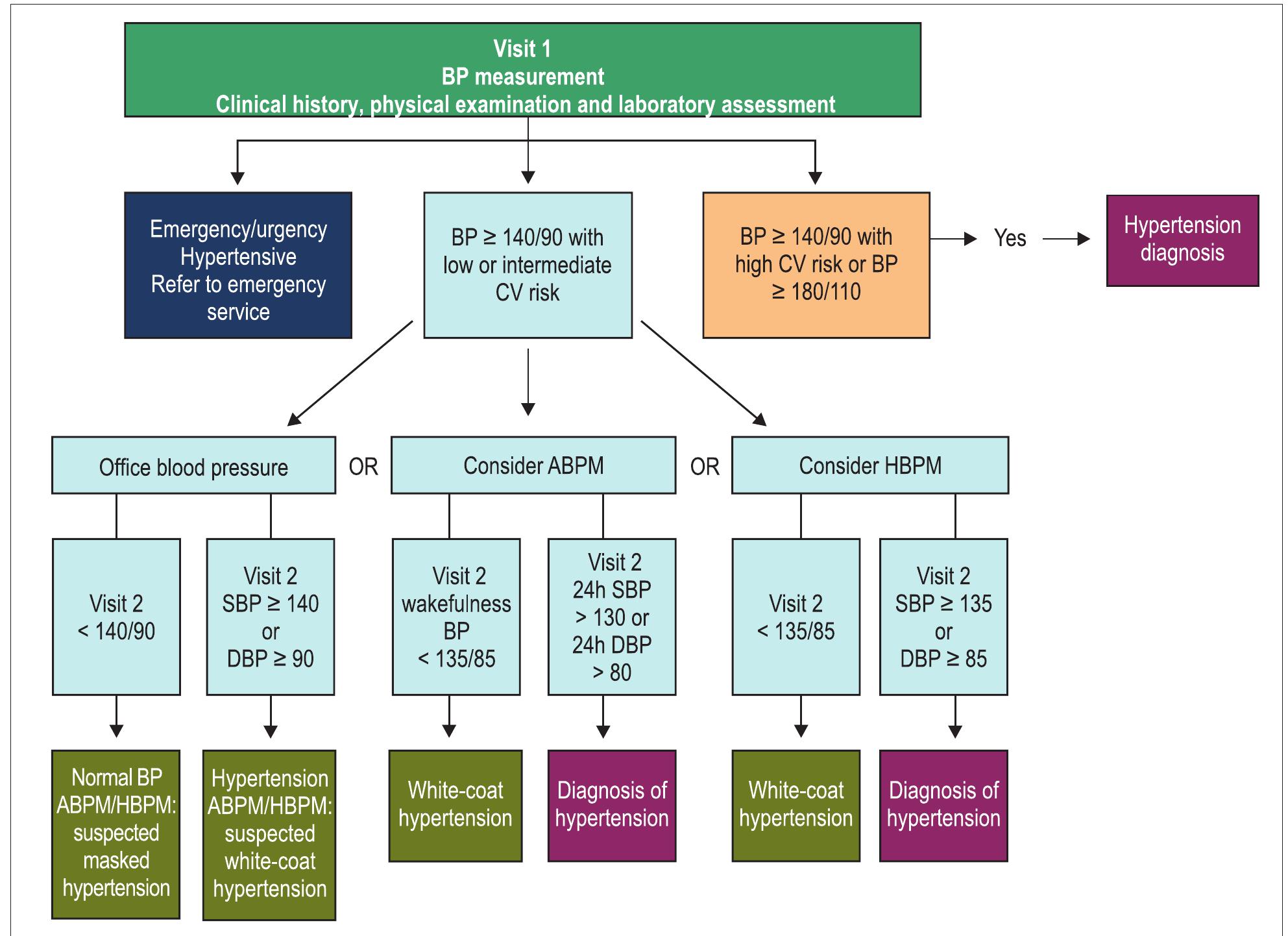 - flowchart for the diagnosis of arterial hypertension