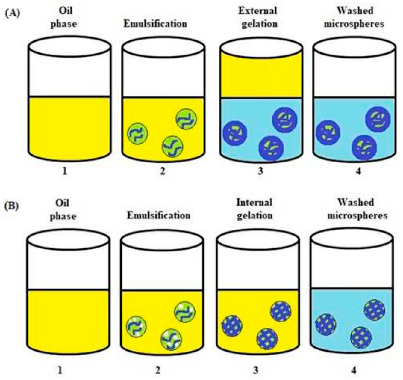 Schematic representation of microsphere formation with