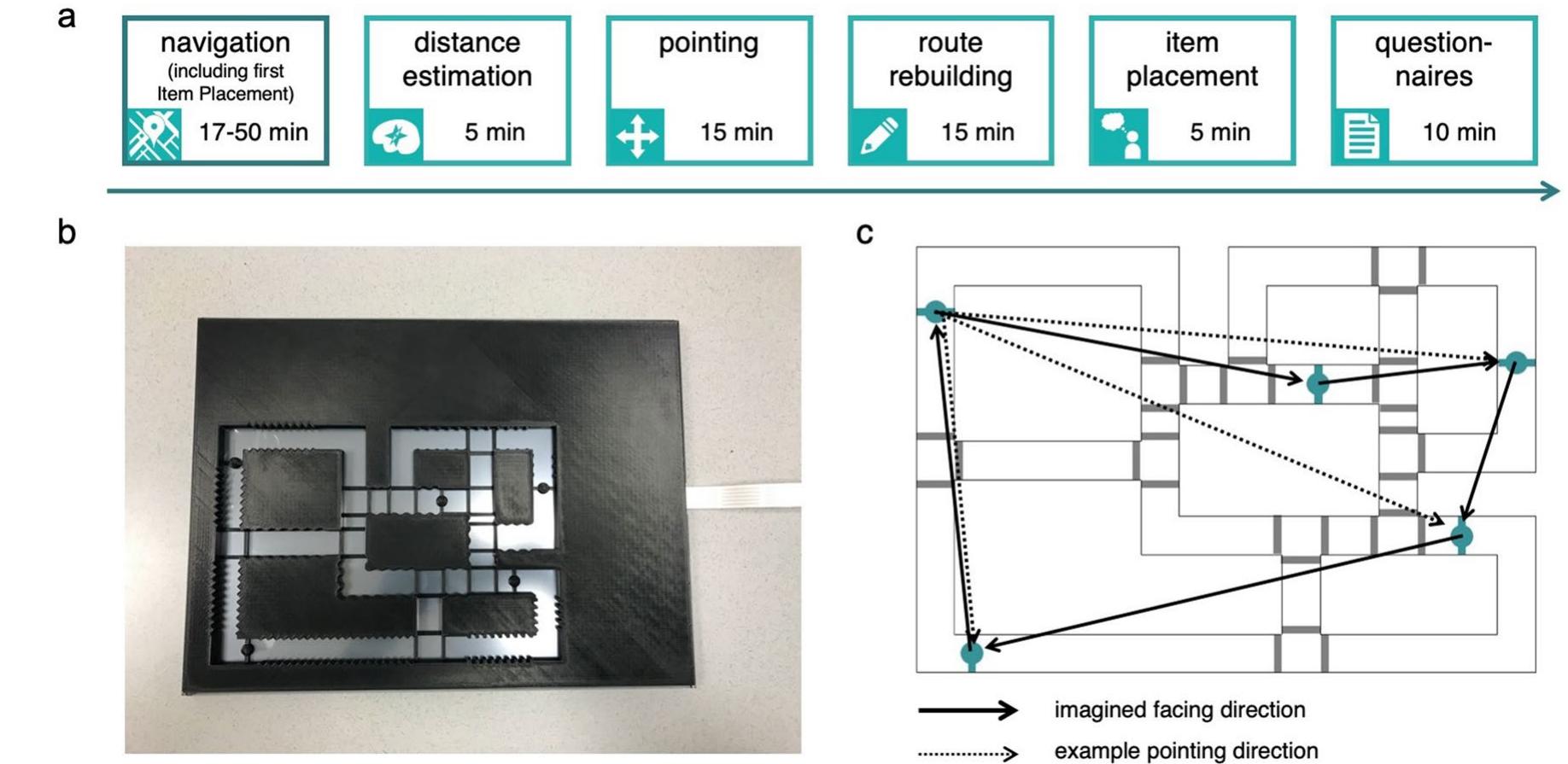 Experiment design and tactile map. (a) timeline of the