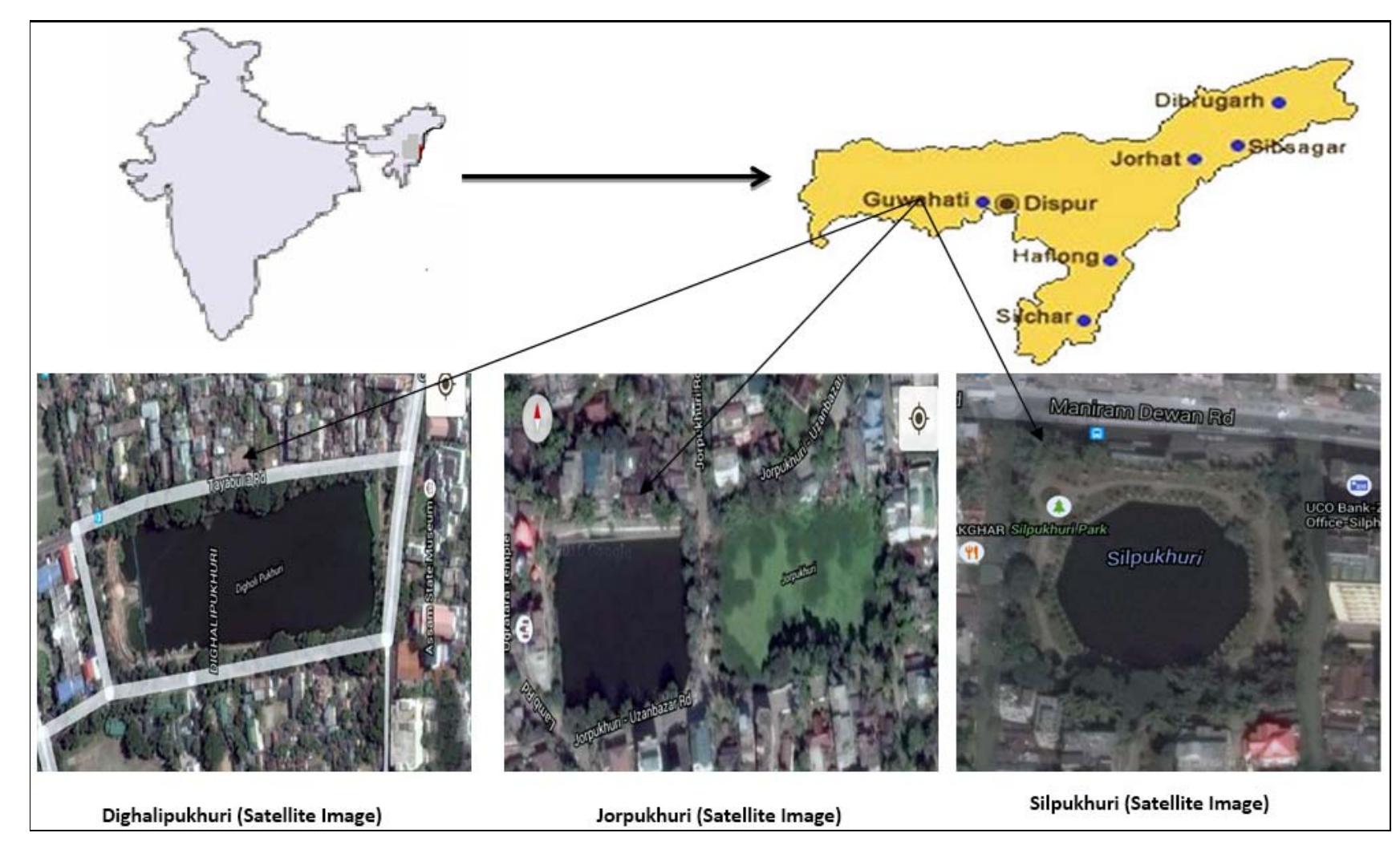 Map of assam showing the satellite image of the three ponds
