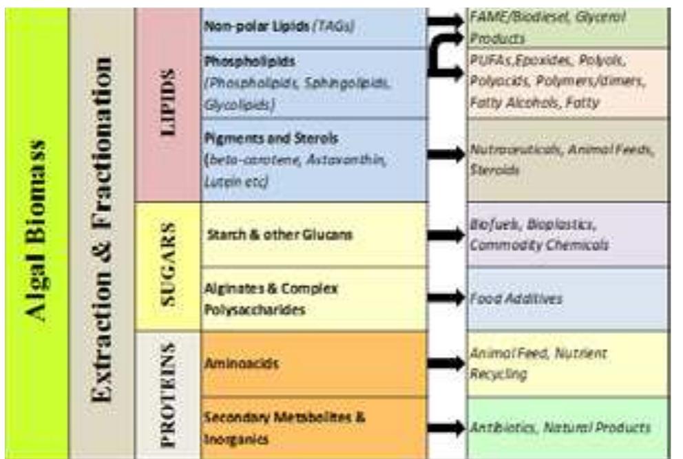 General schematic for algal biomass fractionation and-